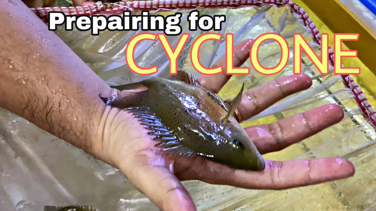 AQUARIUM FISH CARE BEFORE CYCLONE || HOW TO SAVE YOUR FISH ||. AQUARIUM ...