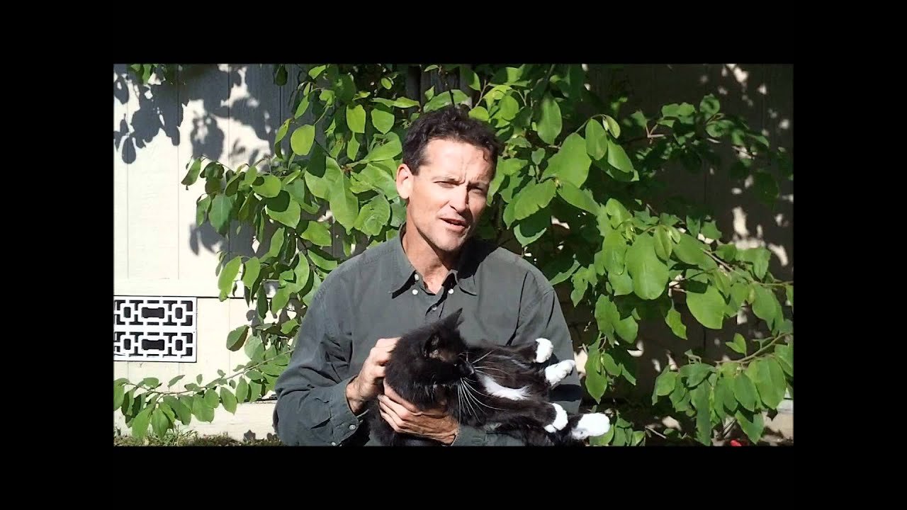 Jack Brand and Friends - YouTube