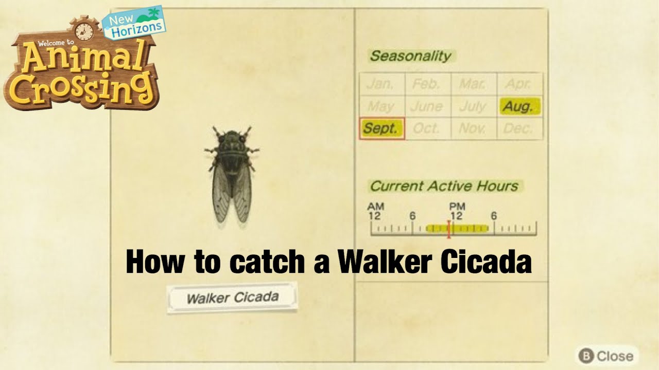 How to Catch A Walker Cicada In Animal Crossing New Horizons! - YouTube
