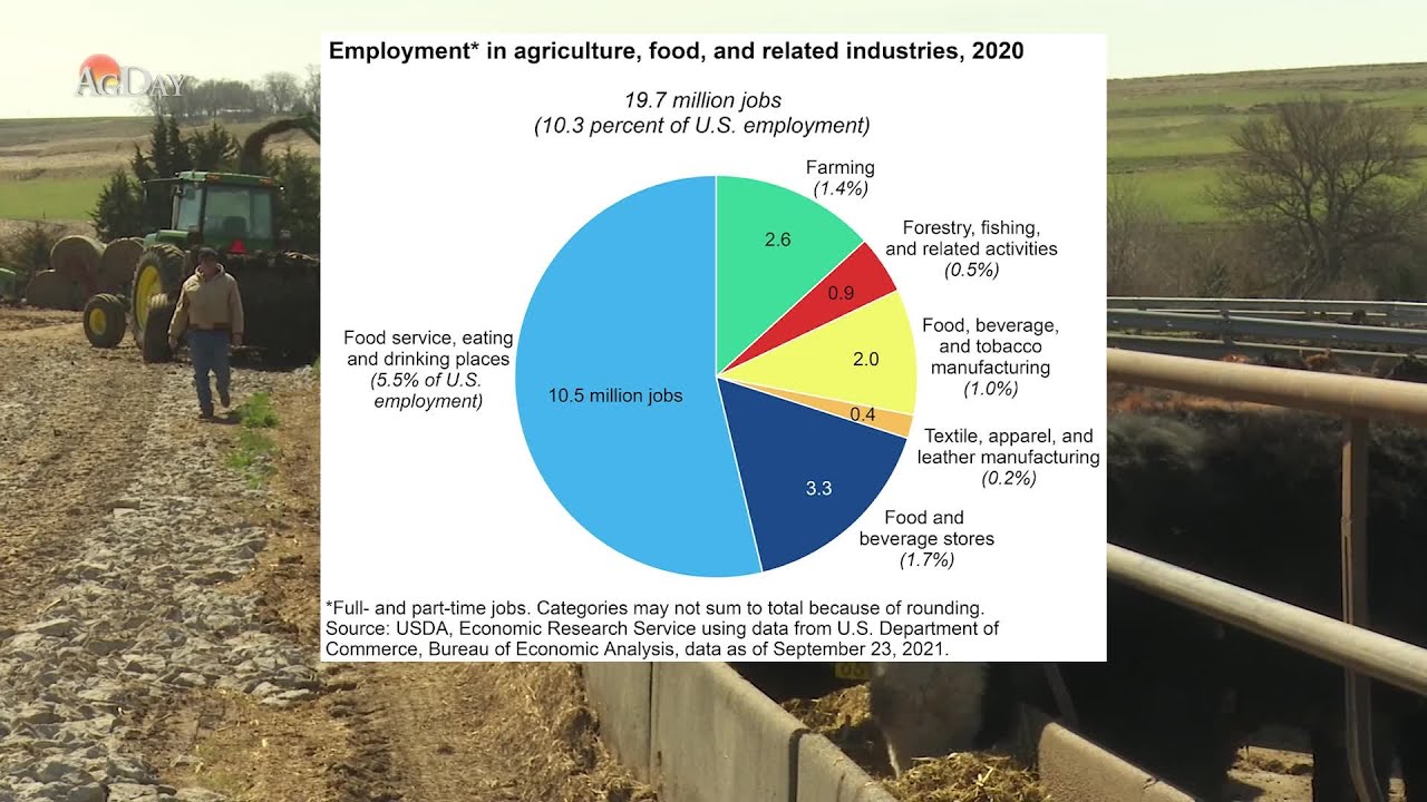 Canada to Release Strategic Reserves of Maple Syrup - YouTube