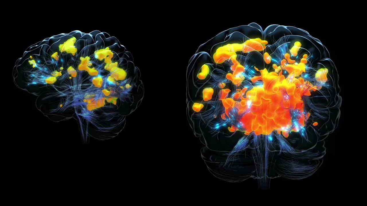 Visual Cortex Activation. 3D animation for holographic projection - YouTube