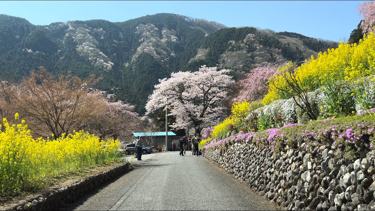 [ Driving Japan ] Introducing the beautiful countryside of Tokyo. Not ...