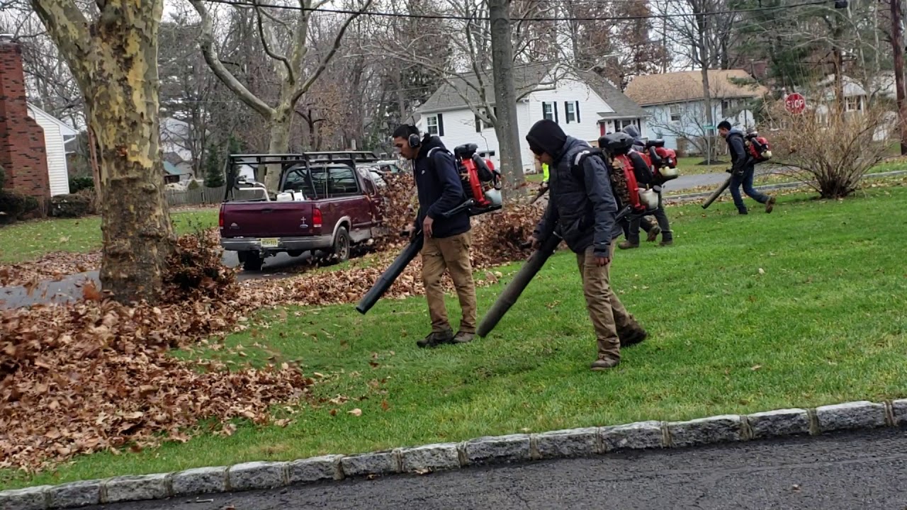 leaves clean up 2018 - YouTube