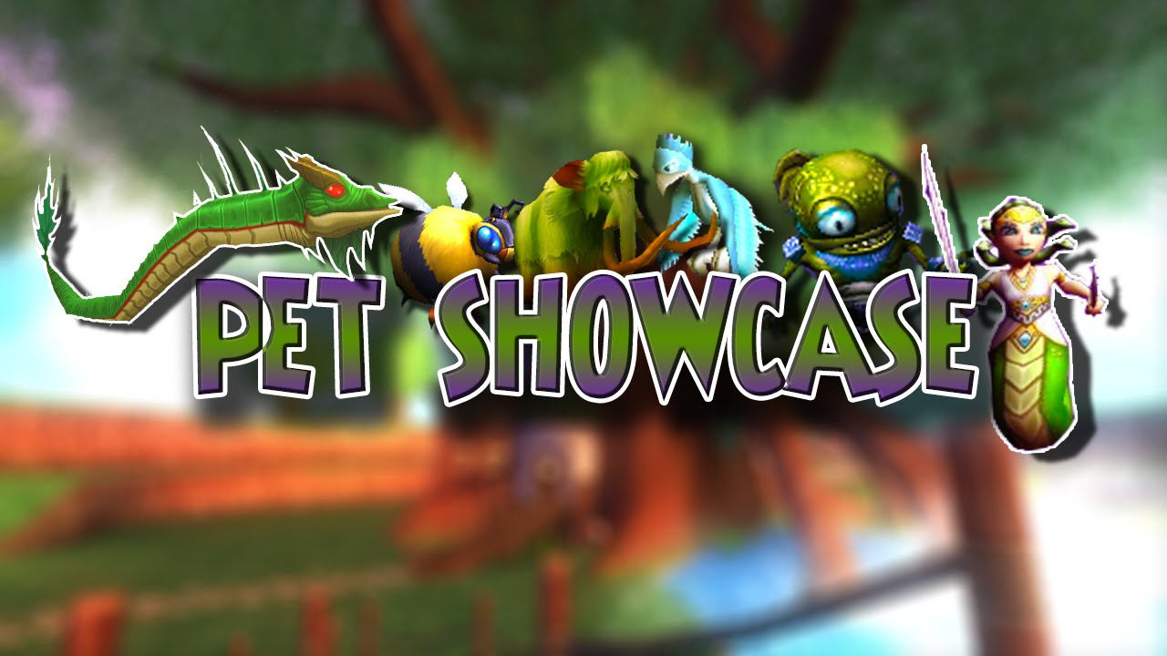 Wizard101: **PET SHOWCASE** - YouTube