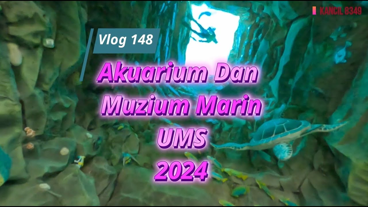 Akuarium Dan Muzium Marin UMS 2024 - YouTube