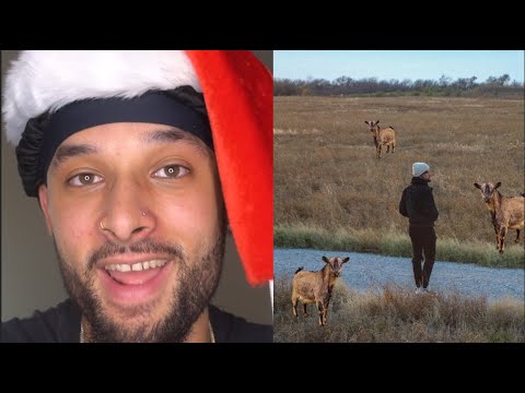 DubMas 🎅🏽