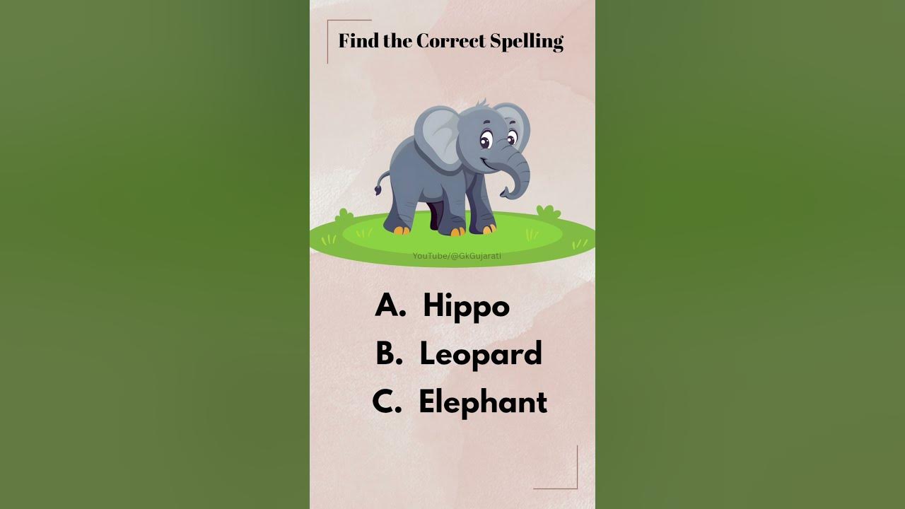 Find Correct Spelling | Spelling learning #spelling - YouTube