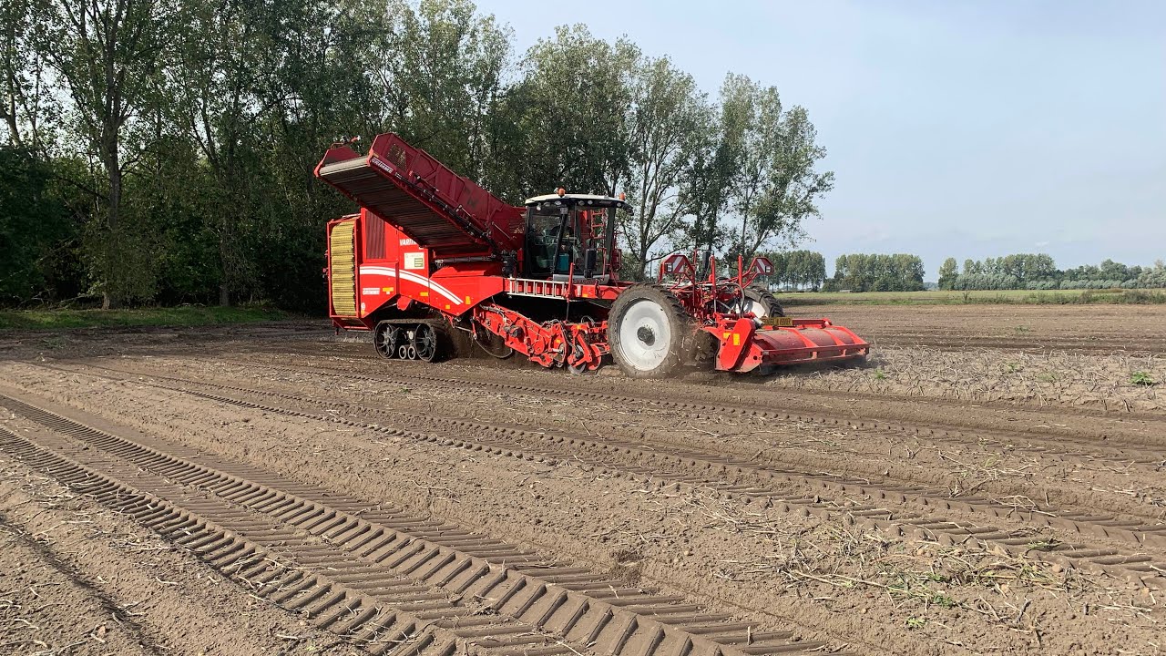 Aardappels rooien grimme varitron 470+ steyr 8300 met dezeure 3 Asser hoog losser - YouTube