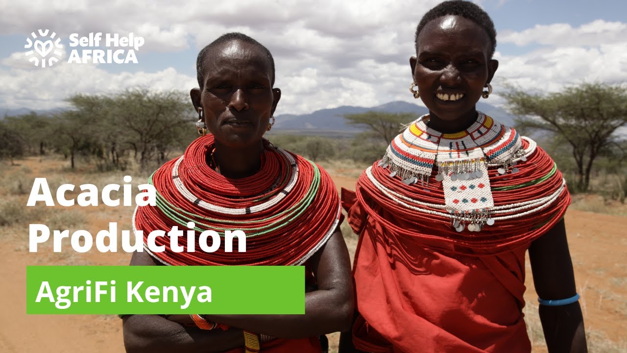 How Gum Arabic is Transforming Lives in Northern Kenya - YouTube