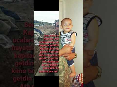 KAPİTAN İLKİN NECEFOV SALYAN RAYONU ŞEKERLİ KENDİ