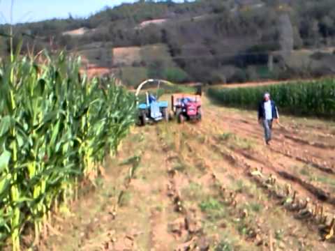 RAKOVICA 76 DV - YouTube