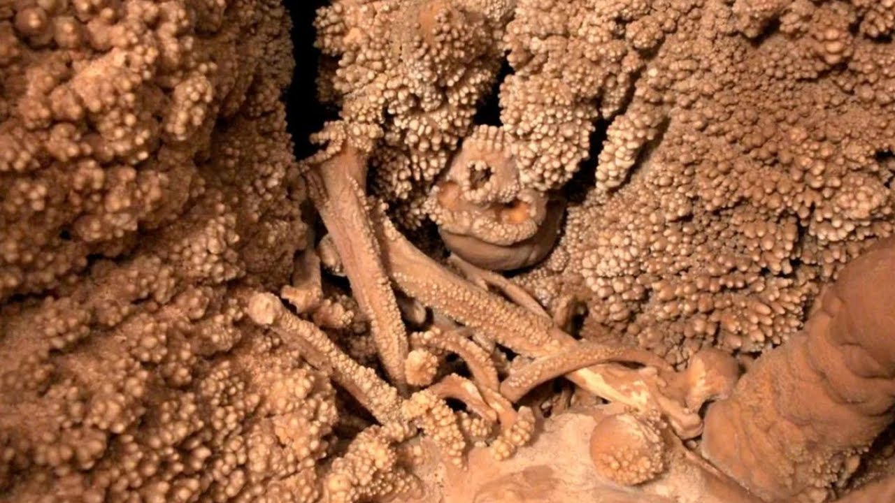 The Most Complete Neanderthal Skeleton Ever Found Still Can't Be ...