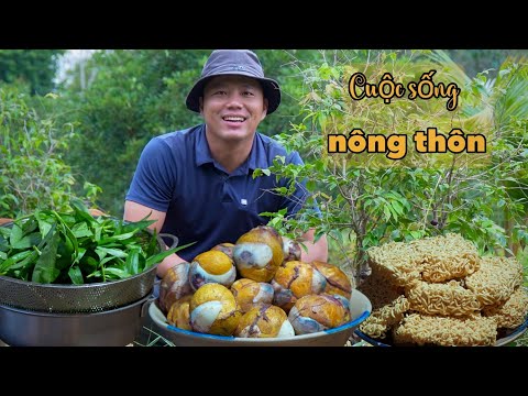 Video 424 Món Ngon Từ Một Loại Cỏ Mọc Dại Theo Những Con Suối | Rau Trai