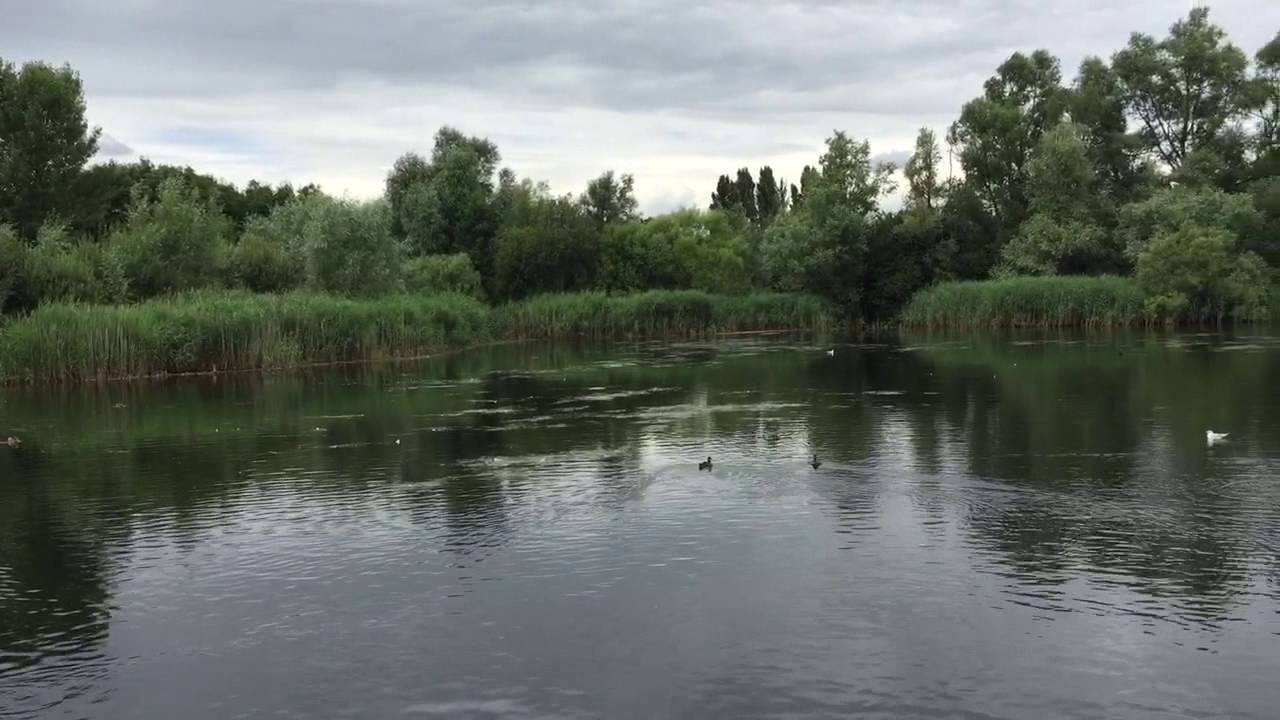 South Lake at Bedfont Lakes Country Park, Bedfont, London #bedfont # ...