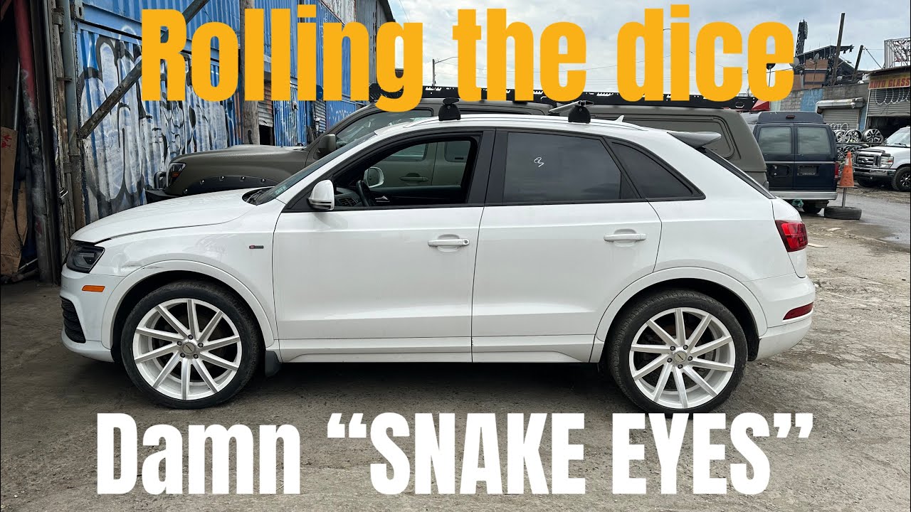 Rolling the dice. “Damn Snake eyes” - YouTube