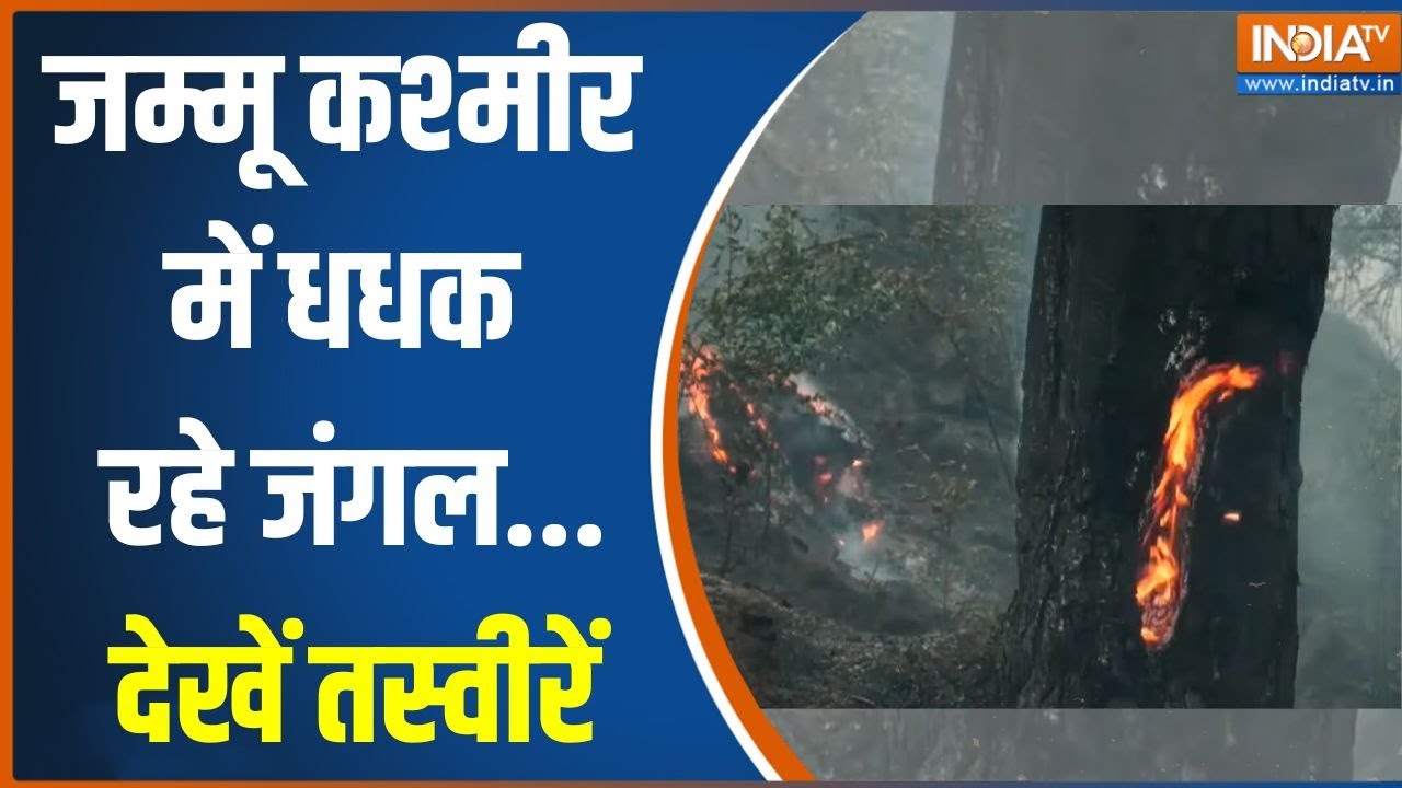 J&K Forest Fire News: जम्मू कश्मीर के Udhampur में जंगल भयंकर आग की चपेट में...देखें तस्वीरें ...