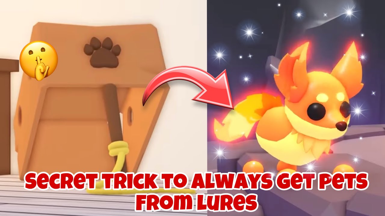 Secret trick to Always get pets from lures 🤫 - YouTube