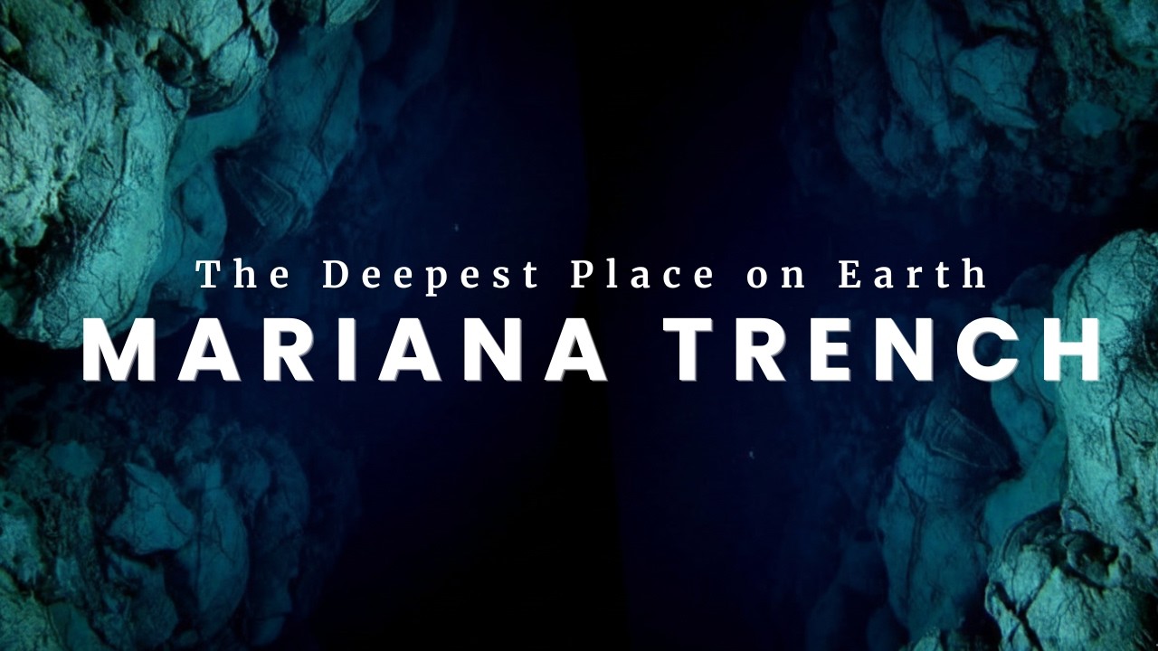 What Exists in The Deepest Place on Earth? (the Mariana Trench) - YouTube