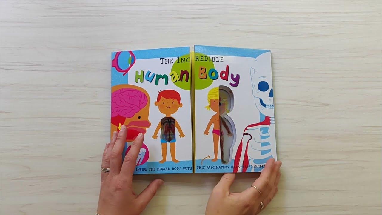 The Incredible Human Body - YouTube