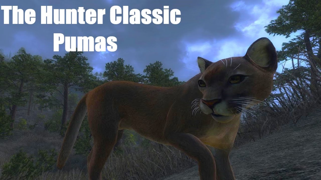 The Hunter Classic: Pumas - YouTube