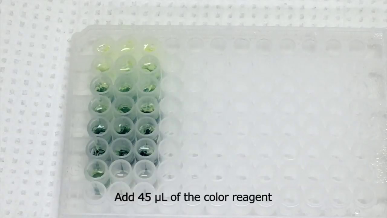 Somogyi-Nelson microassay - YouTube