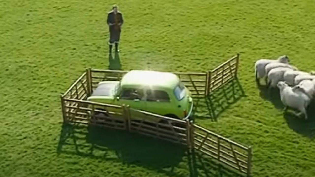 Herding Sheep! 🐑 | Mr Bean Funny Clips | Mr Bean Official - YouTube
