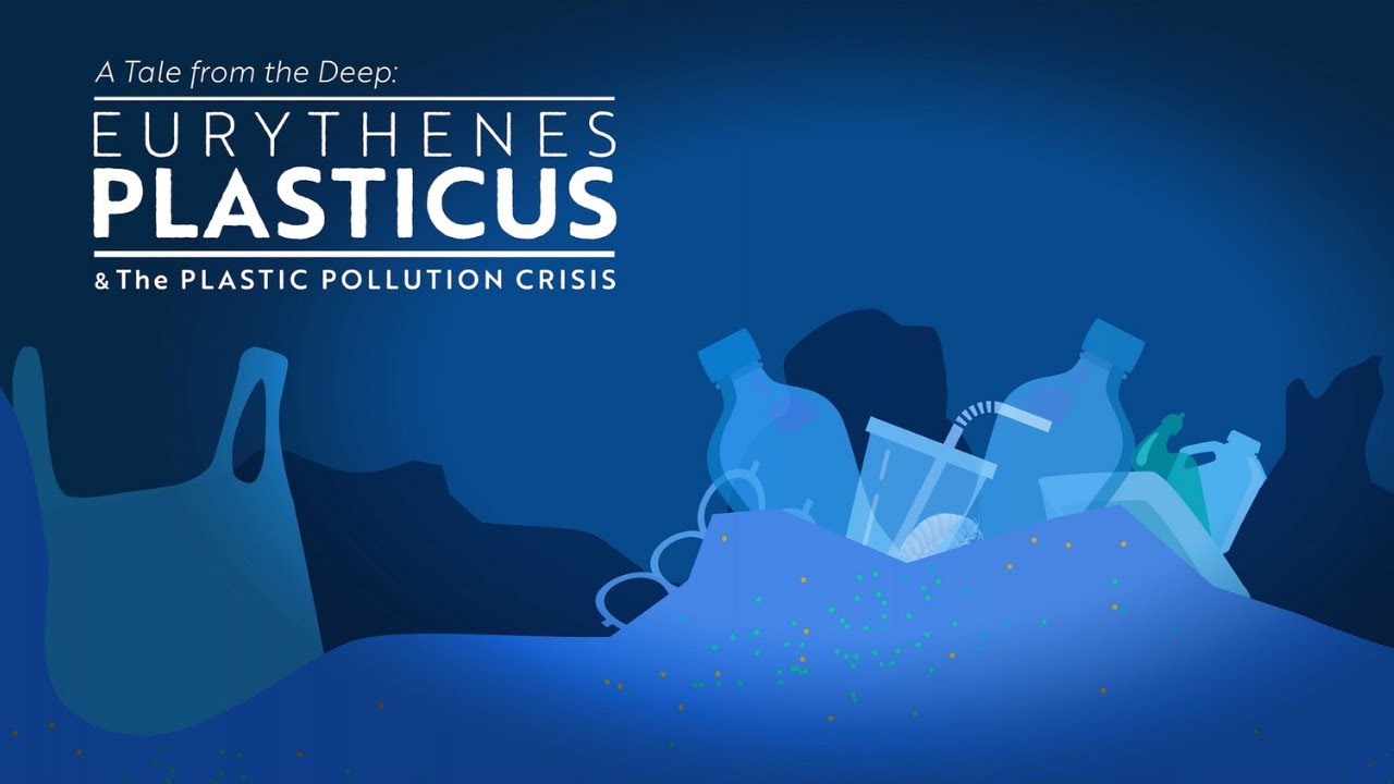 A Tale from the Deep: Eurythenes plasticus and the plastic pollution ...
