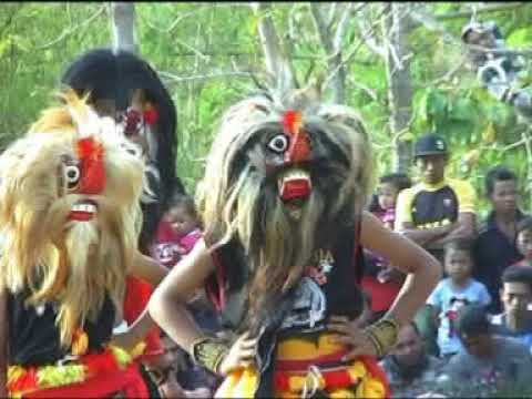 REOG PONOROGO-ATRAKSI SPEKTAKULER-DADAK MERAK TARUNG-GANONGAN DADI-REOG MULANG JOYO-WAROG - YouTube