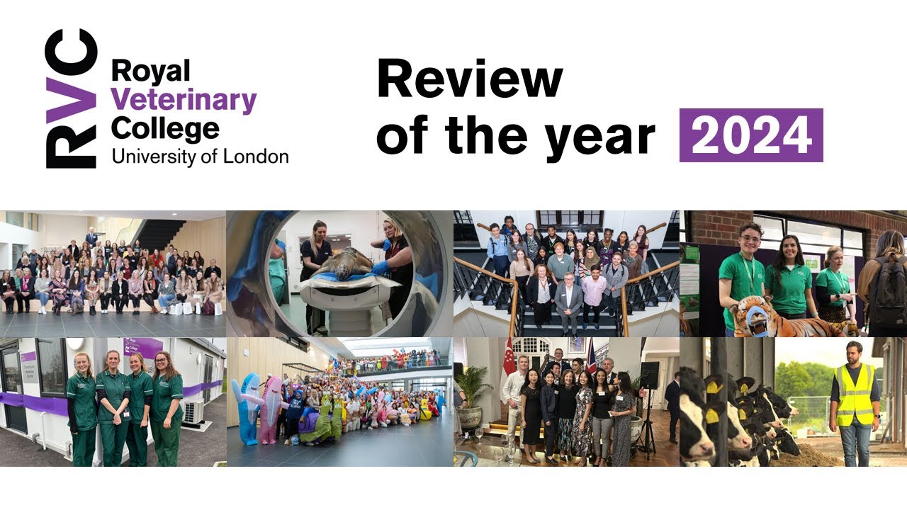 RVC Review of the Year 2024 - YouTube