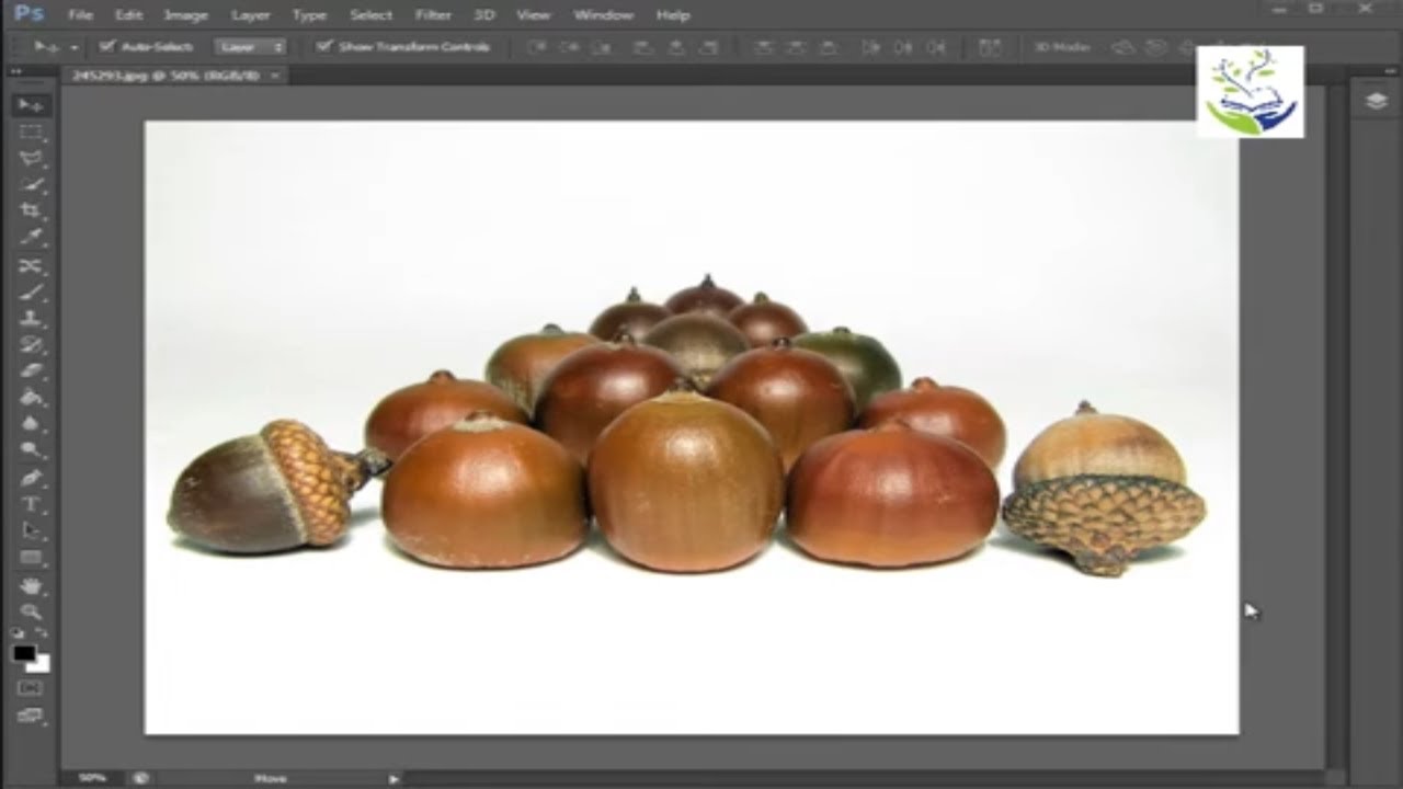 How to use Lasso Tools & Quick Selection Tools : Adobe Photoshop CS6 ...