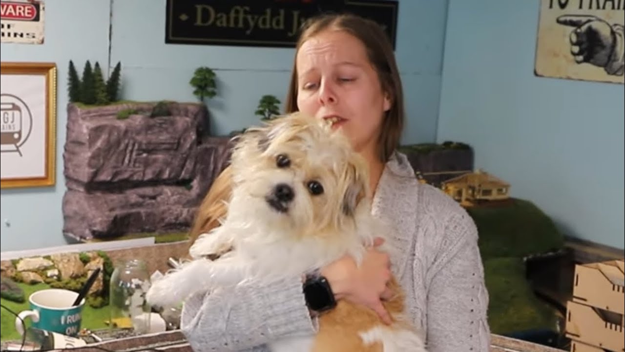 RGJ Trains Grace's Bush and Rocks - YouTube