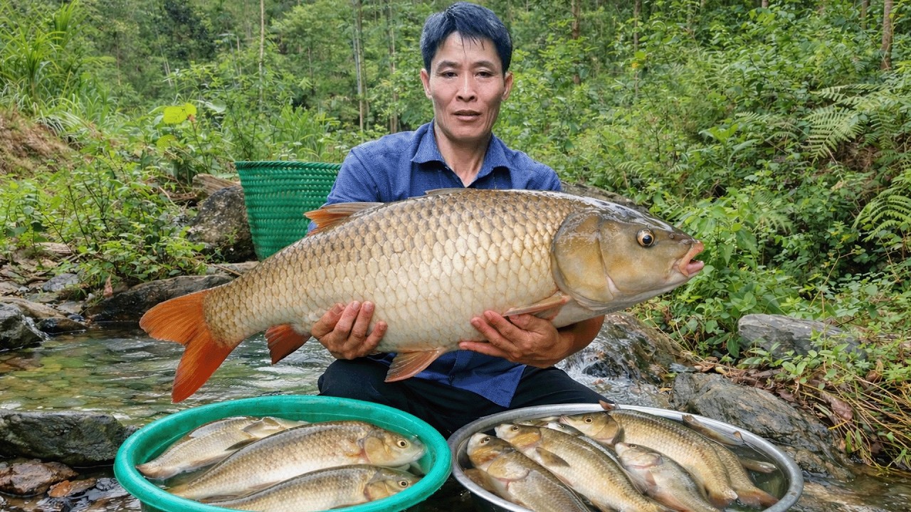 Harvesting Fresh Milkfish for Farm Preservation | Marinating Fish Solo ...