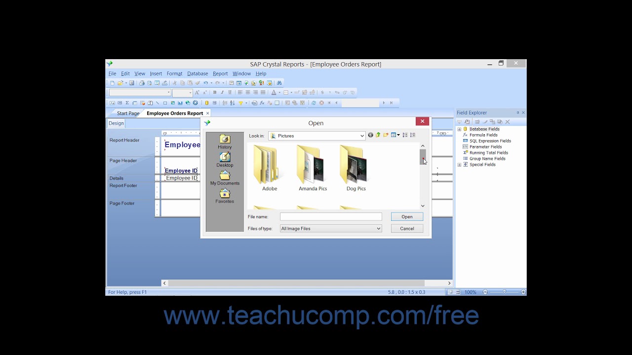 Crystal Reports 2013 Tutorial Inserting Pictures Business Objects ...