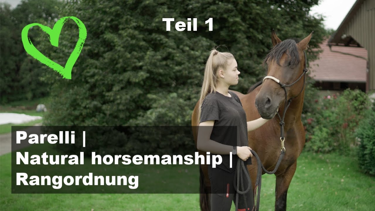 7 Spiele nach Pat Parelli | Natural horsemanship I Rangordnung - YouTube