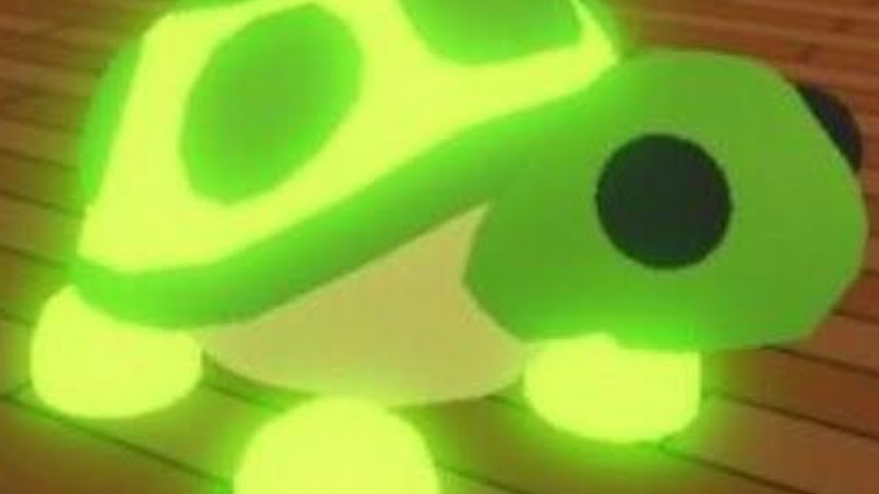 my offer for neon fly ride turtle - YouTube