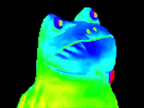 MLG Frog - YouTube
