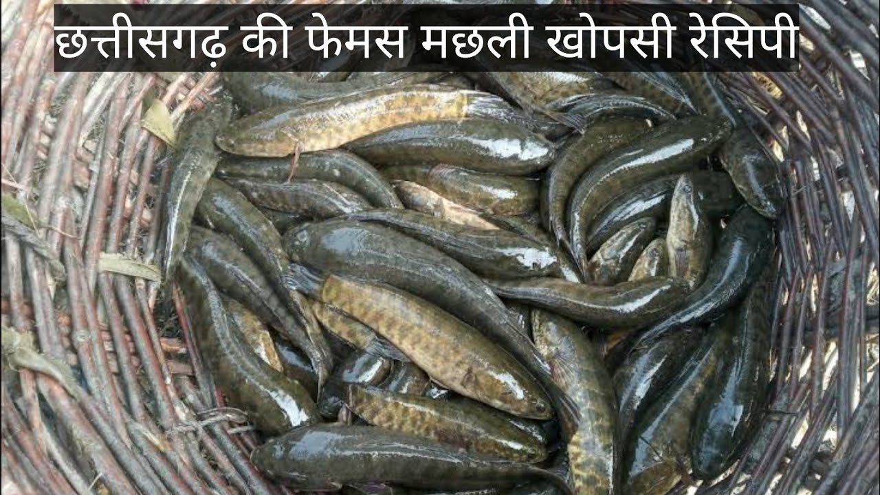 Khopsi machhli racipie| village fish racipie| Chhattisgarh ki famous ...