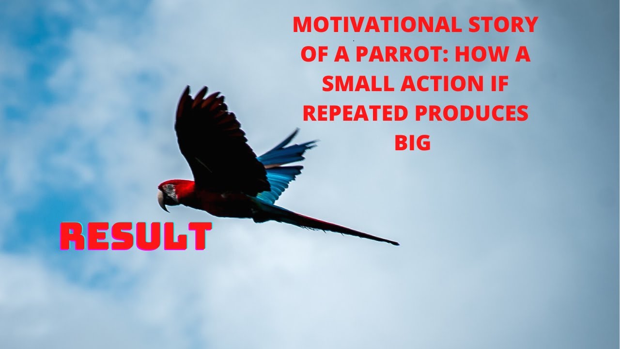 MOTIVATIONAL STORY OF A PARROT : SAVING FRIEND FROM THE FOREST FIRE ...