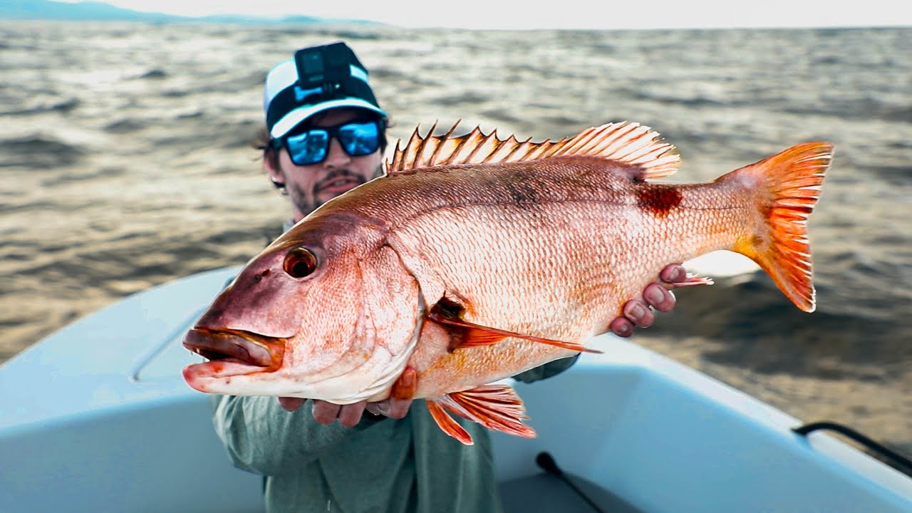 Epic Jigging Adventure: Catching Giant Red Steenbras! - YouTube