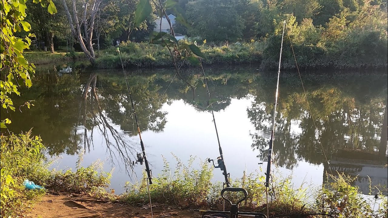 Free line fishing. #subscribe #fishing #catfish#viralvideo #fish - YouTube