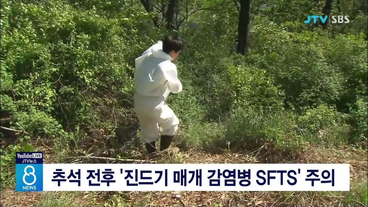 추석 전후 '진드기 매개 감염병 SFTS' 주의 - YouTube