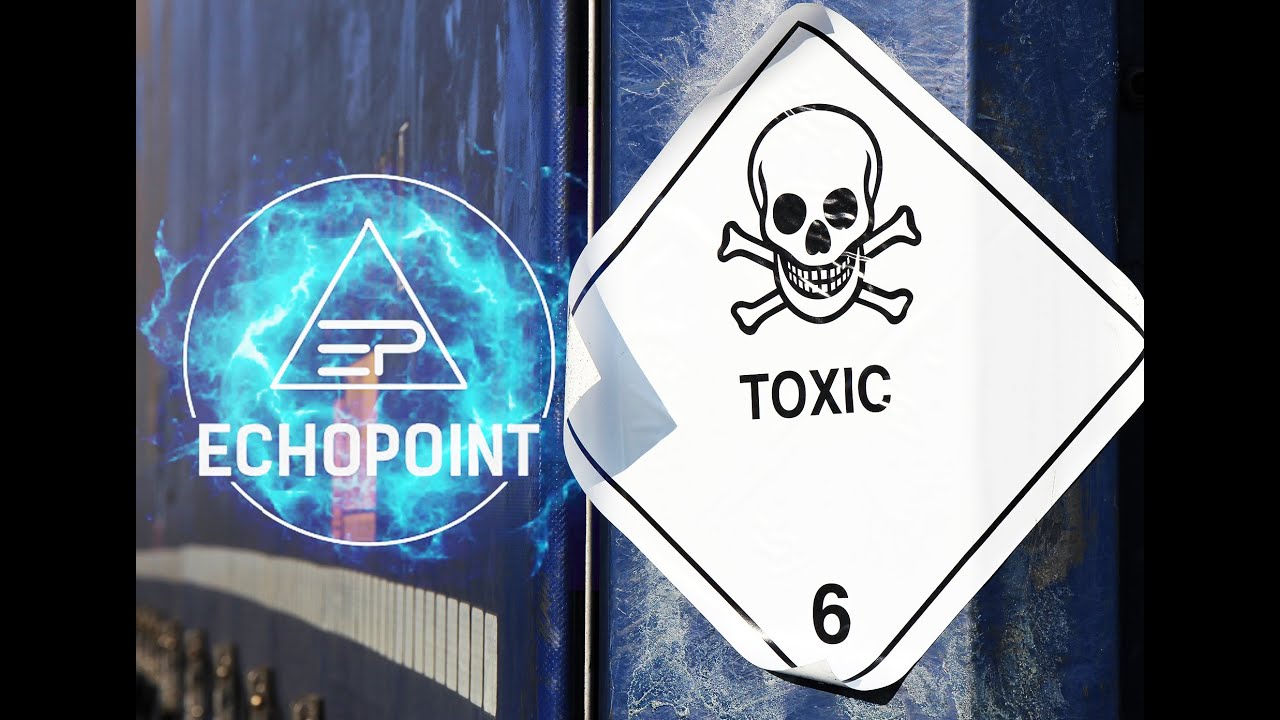 Toxic--EchoPoint - YouTube