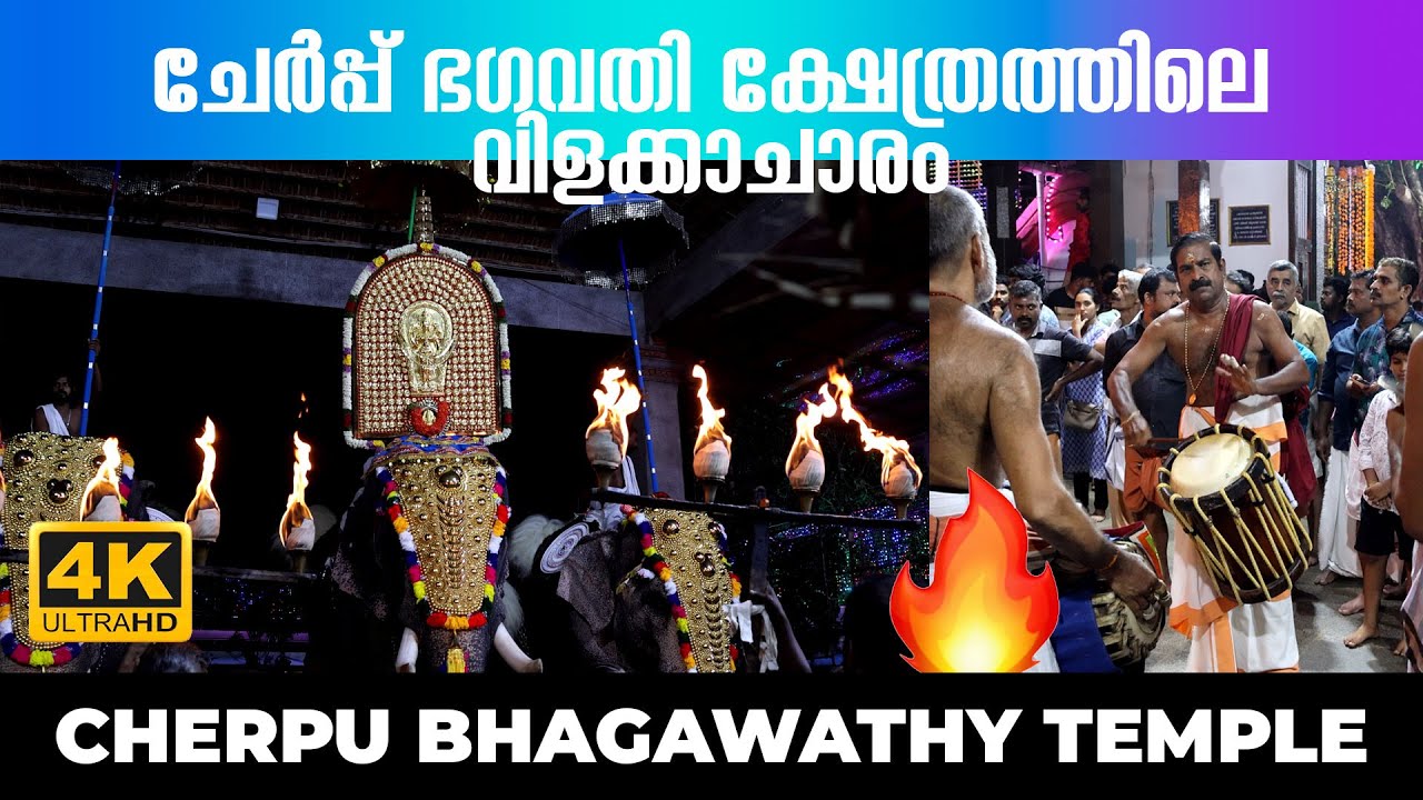 ചേർപ്പ് ഭഗവതി ക്ഷേത്രത്തിലെ വിളക്കാചാരം 4K Video 💖🥁🙏🏻Cherpu Bhagavathy ...