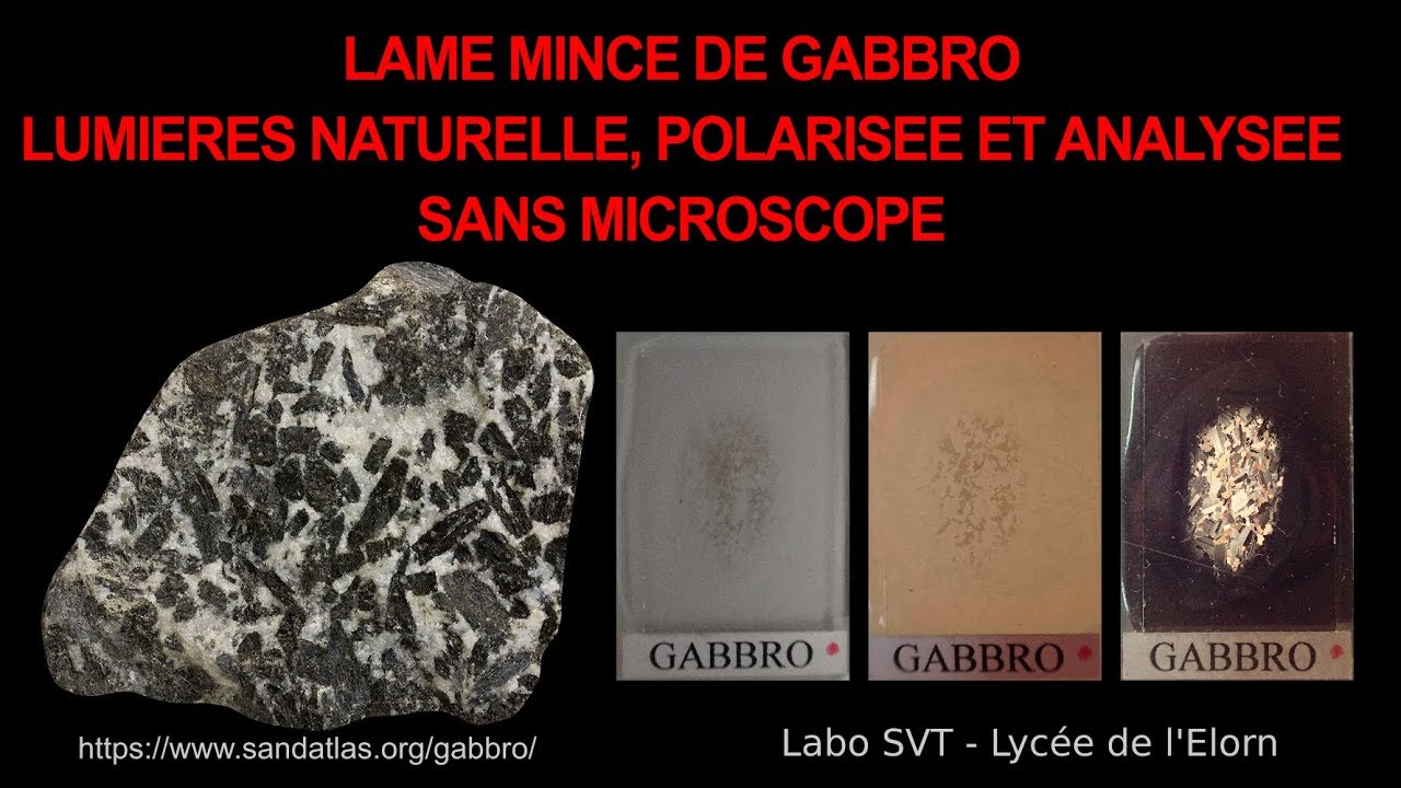 Gabbro Microscope