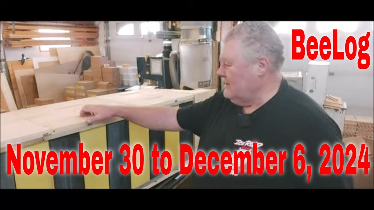 ⏱ BeeLog November 30 to December 6-That Bee Man - YouTube