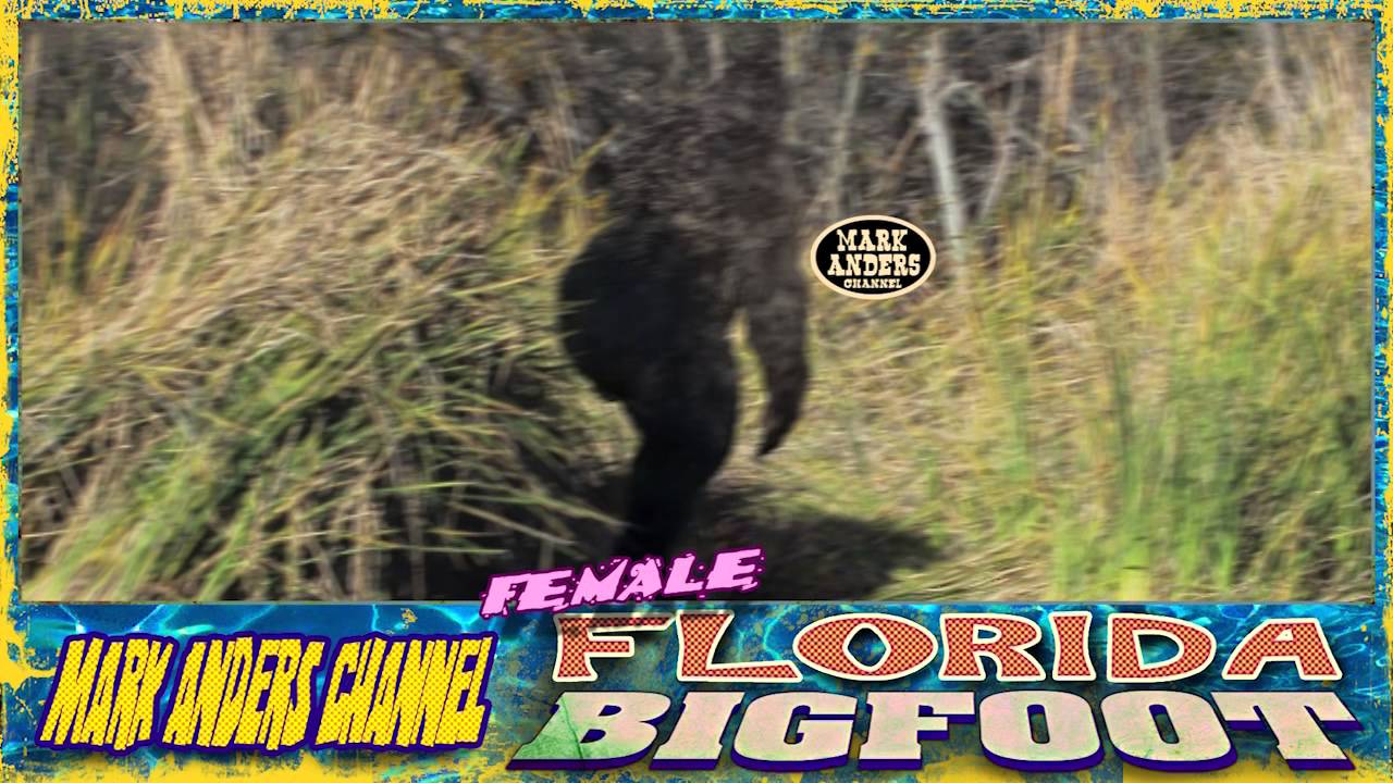 FEMALE BIGFOOT FLORIDA - YouTube