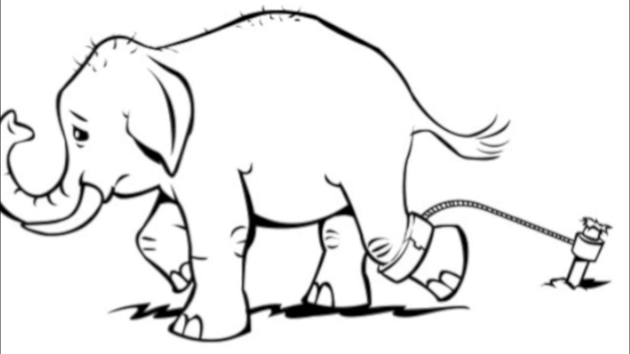 Assumed Constraints - YouTube