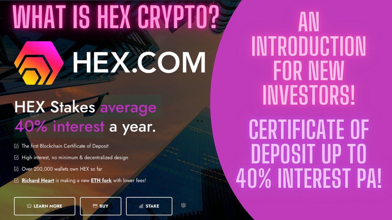 What Is Hex Crypto? An Introduction For New Investors! Certificate Of ...
