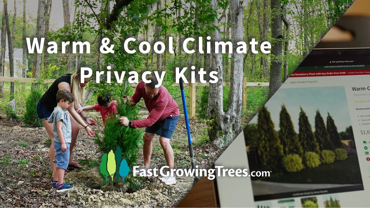 Fast Growing Trees | Landscape Plant Kits - YouTube