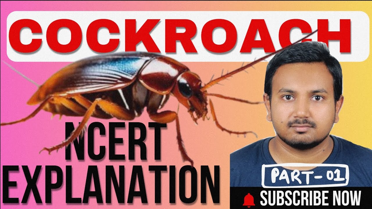 PART-01 COCKROACH NCERT LINE @nitishbharti360 @shivbharti343 - YouTube